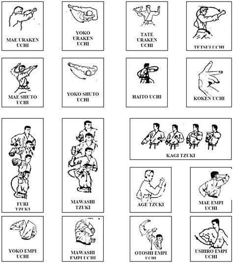 Uchi Waza Ataques Indirectos Iogkf Spain