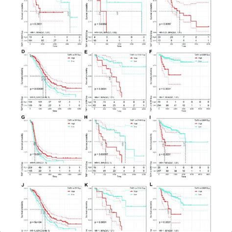 The Expression Of Transporter Associated With Antigen Processing 1