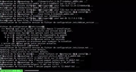 Apt Linux Installer Et Mise à Jour De Paquets Et Distribution Ubuntu Debian Mint