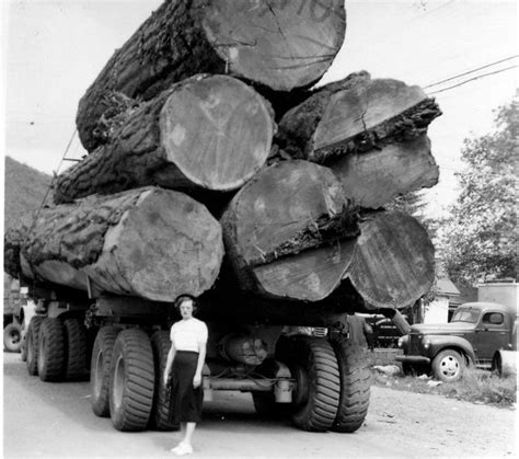 17 Best Images About Logging Photos Old And New On Pinterest Shovel Monty Python And West Coast