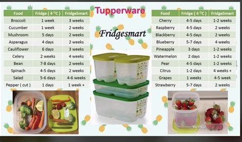Tupperware Food Storage Guide At Lawerence Randy Blog