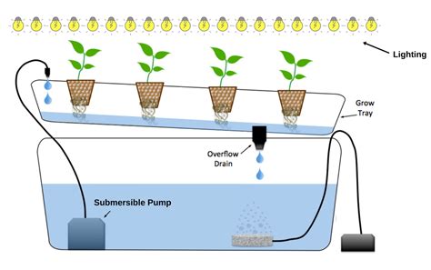 Dirt Hydroponics Grow Systems