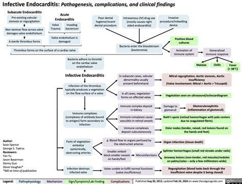 Infective Endocarditis Calgary Guide