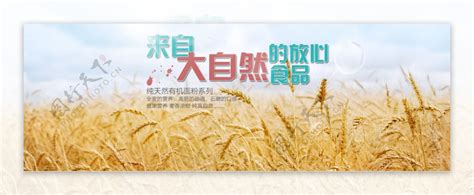 麦地图片素材 编号35796095 图行天下