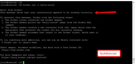 How To Install Docker On CentOS RHEL TecAdmin