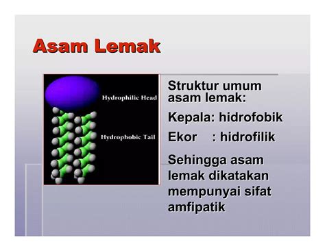 Lipid Ppt