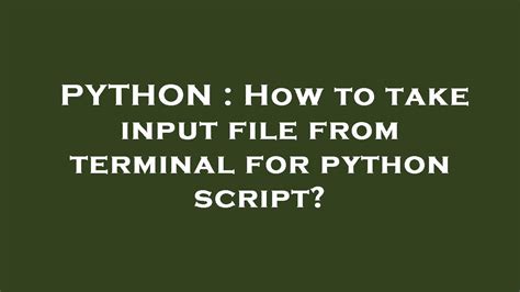 Python How To Take Input File From Terminal For Python Script Youtube