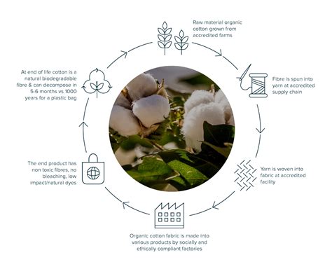 Organic Cotton Fabric — Direct To Source