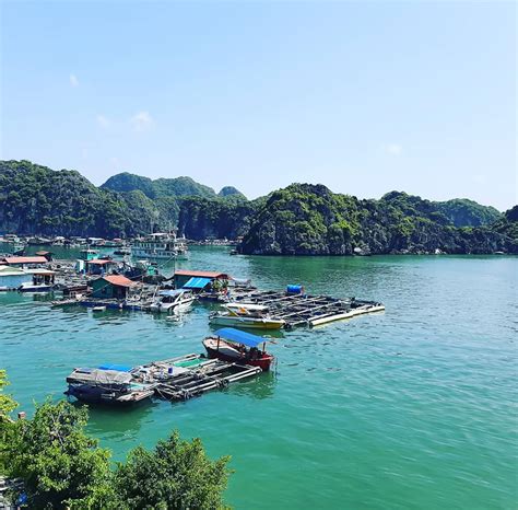 Indochine Classic Added A New Photo Indochine Classic