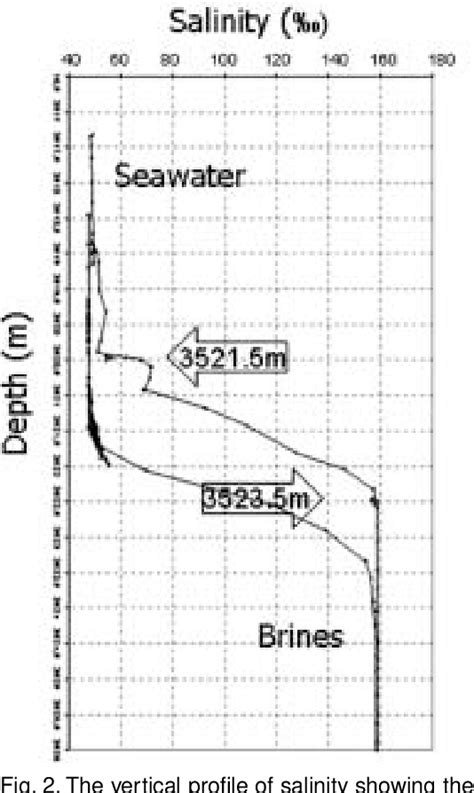 Figure 1 From Community Structure Of Meiofauna And Macrofauna In