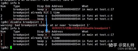 linux入门gcc g 使用makefile使用gdb调试技巧 知乎