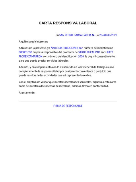 Carta Responsiva Laboral Pdf