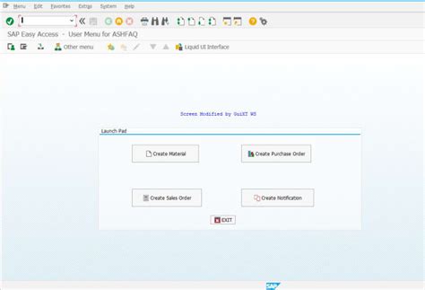 Do The Sap Gui Customization Using Guixt By Ashfaq Ahmed7 Fiverr