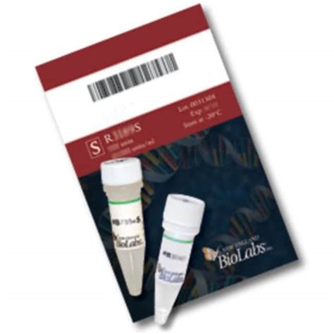 New England Biolabs Inc Bspqi 500 Units Fisher Scientific