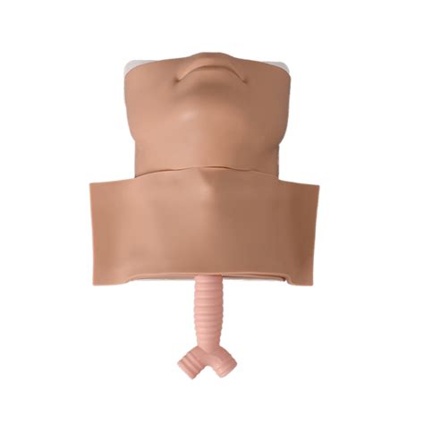 Cricothyrotomy Simulator Medarchitect