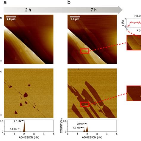 Afm Height And Adhesion Scans With Adhesion Distribution Histograms