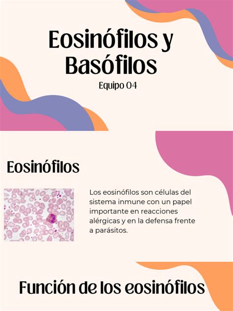 Basófilos Y Eosinófilos 20240320 230718 0000 Pdf Sistema