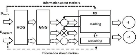 the operation principle of the modified gng fis algorithm using a