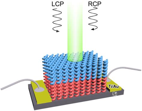 Schematic Description Of A Circularly Polarized Light Detector Download Scientific Diagram