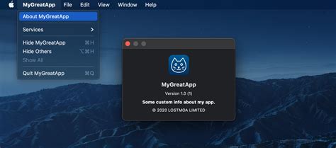 Customize About Panel On MacOS In SwiftUI