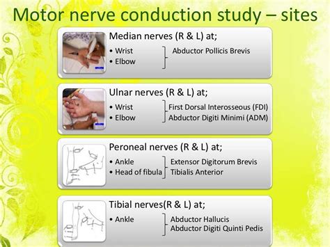Nerve Conduction Study