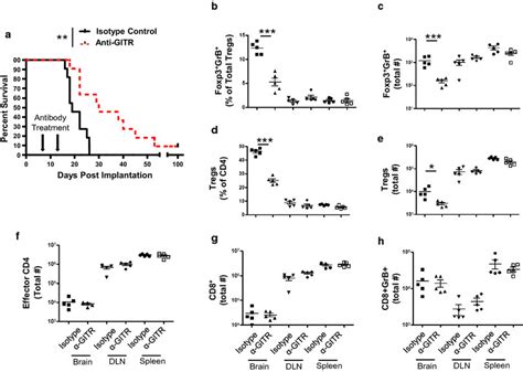 Intracranial Anti Gitr Treatment After Tumor Establishment