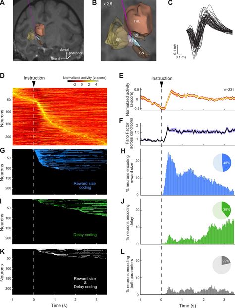 Neural Dynamics Underlying Self Control In The Primate Subthalamic Nucleus ELife