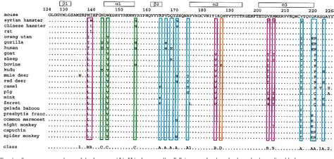 Figure 1 From Prion Protein Nmr Structure And Species Barrier For Prion