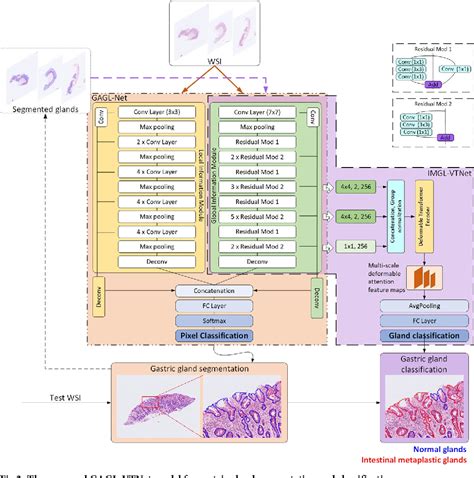 Figure 1 From A Digital Pathology Workflow For The Segmentation And