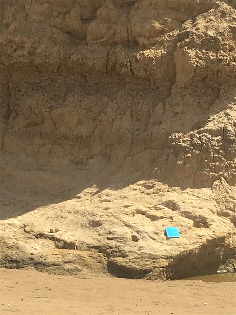 How Can I Characterize Carbonaceous Nodules In Clay Rich Sedimentary