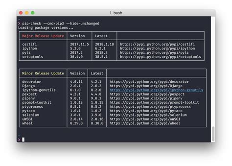 Pip Check · Pypi