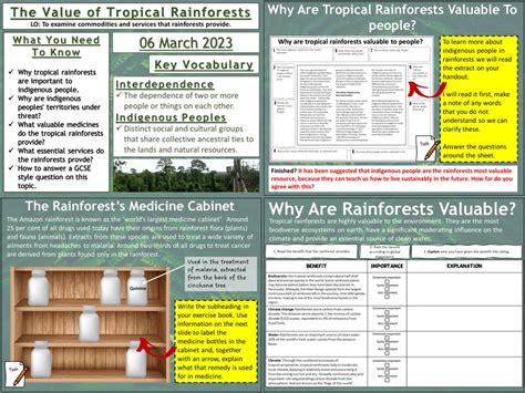 The Value Of Tropical Rainforests Teaching Resources