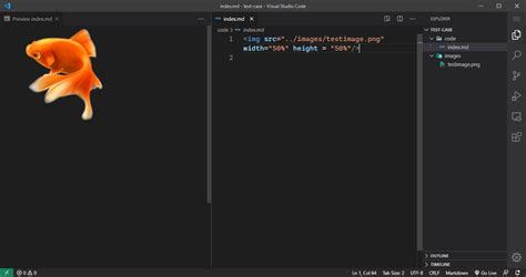 Can T Preview The Local Pictures In VSCode Issue Microsoft Vscode GitHub