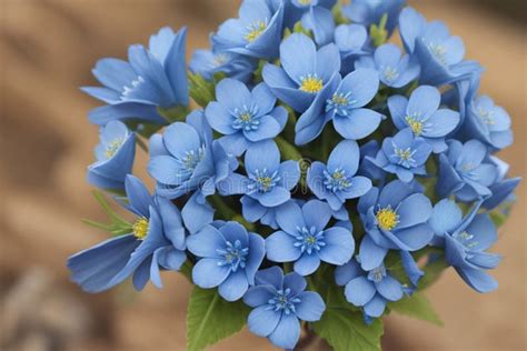 Blue Flowers Macro Picture Of Very Tiny Blue Wild Flowers Ai Generated