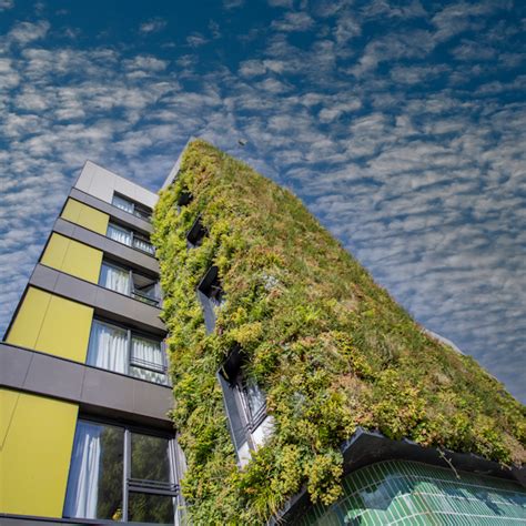 Maximising Carbon Offset With Ecological Architecture