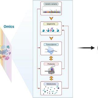 The Complex Integration Of Omics Data I E Multi Omics Analysis Download Scientific