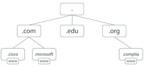 Module 4 Cyber Flashcards Quizlet