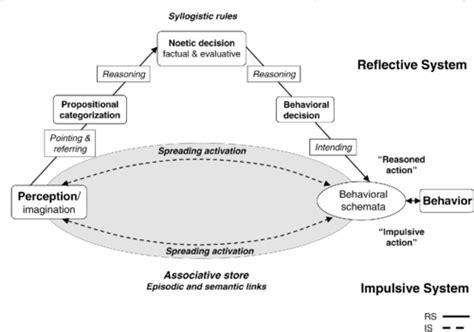 Kaarten Models Behaviour And Environment 3 Quizlet