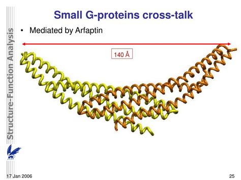 Ppt Dna Protein Structure Function Analysis And Prediction Powerpoint Presentation Id 2962113