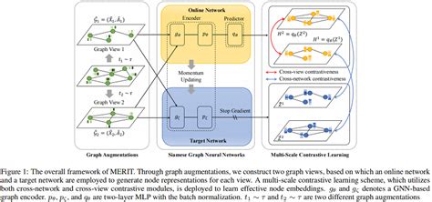 论文解读（merit）《multi Scale Contrastive Siamese Networks For Self
