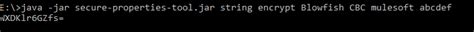 Securing A Mulesoft Application Properties File