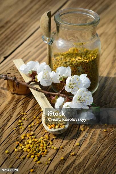 봄 나무의 꽃과 항아리 나무 테이블에 나무 숟가락에 꿀벌 꽃가루의 곡물 Apitherapy입니다 꿀벌 제품입니다 0명에 대한 스톡 사진 및 기타 이미지 Istock