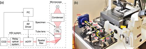 Hyperspectral Imaging Acousto Optic System With Spatial Filtering For