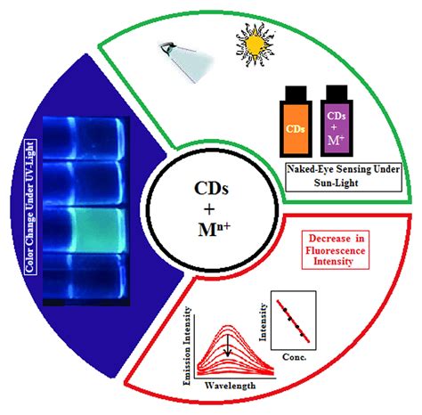 Metal Ion Detection By Carbon Dots—a Review Critical Reviews In Analytical Chemistry Vol 52