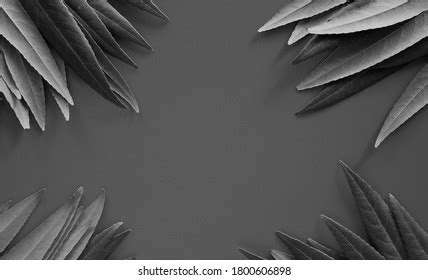 315 Treeline Art Images Stock Photos Vectors Shutterstock