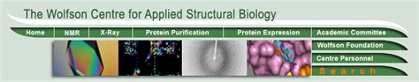 Bacterial Strains For Protein Expression