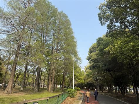 広報やお（八尾市役所） 📢年末年始の病院受診・相談について 📢 発熱、咳、のどの痛み、頭痛、体のだるさ、息苦しさ、臭いや味がわかりにくい