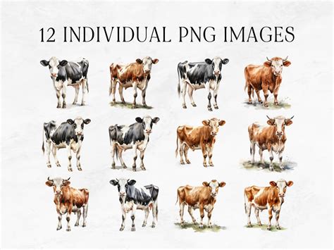 Cute Cow Clipart Commercial Use Clipart Transparent Png Cute Country Cows Clipart Cow