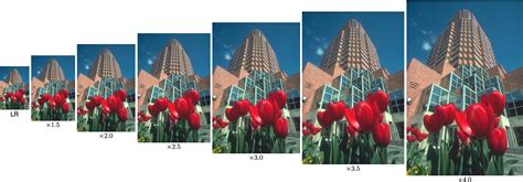 Figure 1 From Arbitrary Scale Super Resolution Neural Network Based On