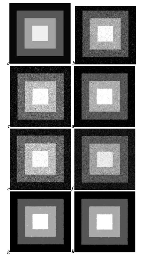 synthetic image simulation results a noise free image b w